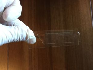 Scotch test – Pinworms - Analisi Alfa